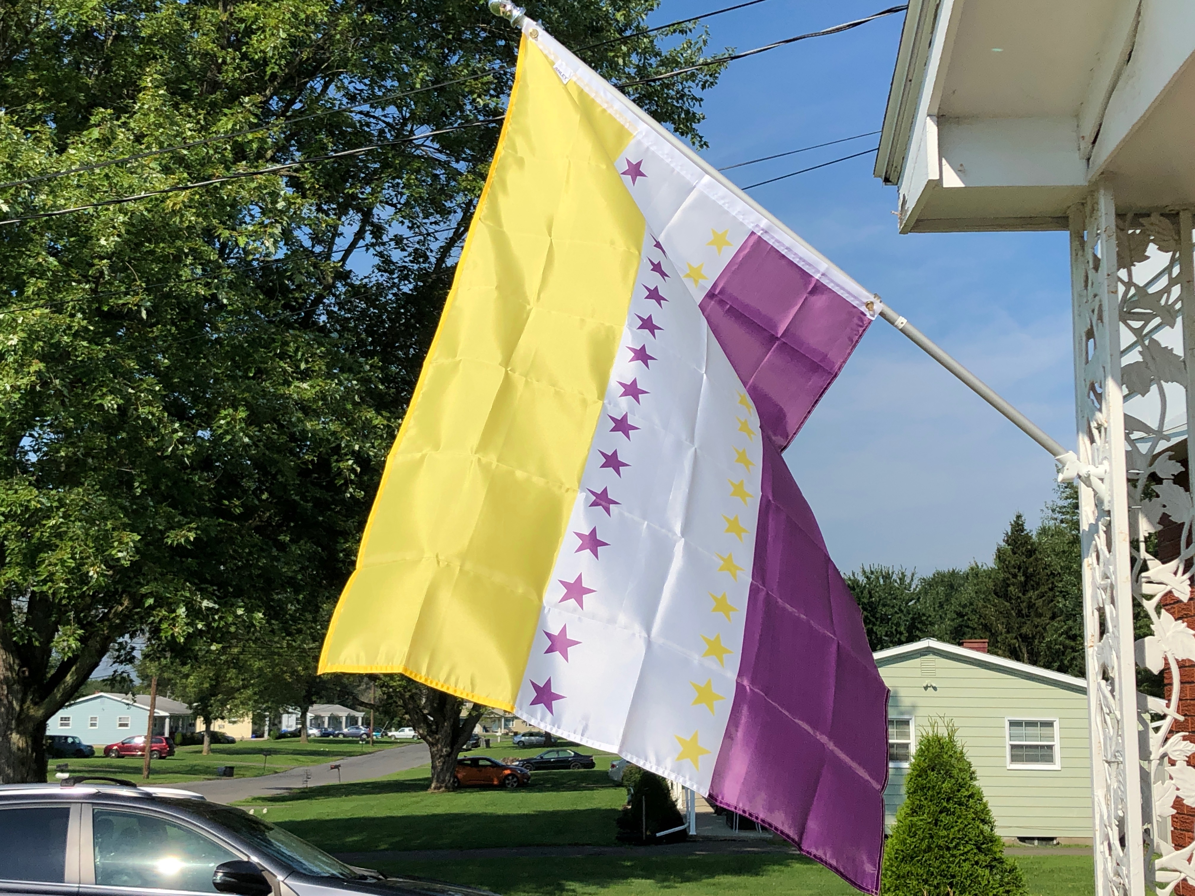 National Woman’s Party Flag – Comics, the Universe, and Everything
